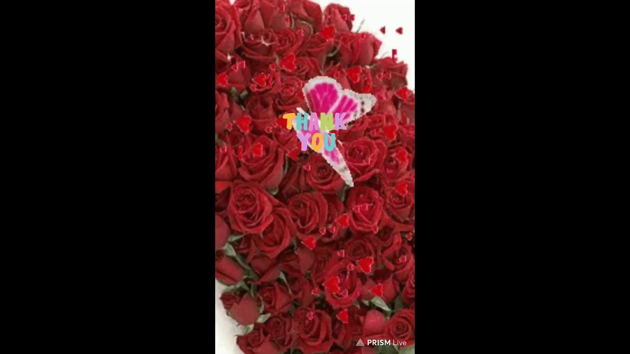 Grace Chavez My Daily Life Live Stream - YouTube