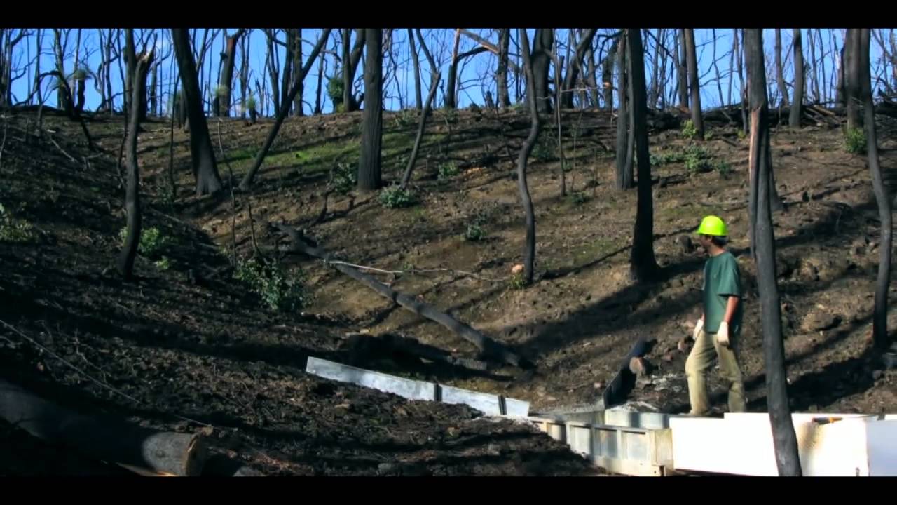 Snapshot: Fire in the Landscape - fire in the Australian landscape ...