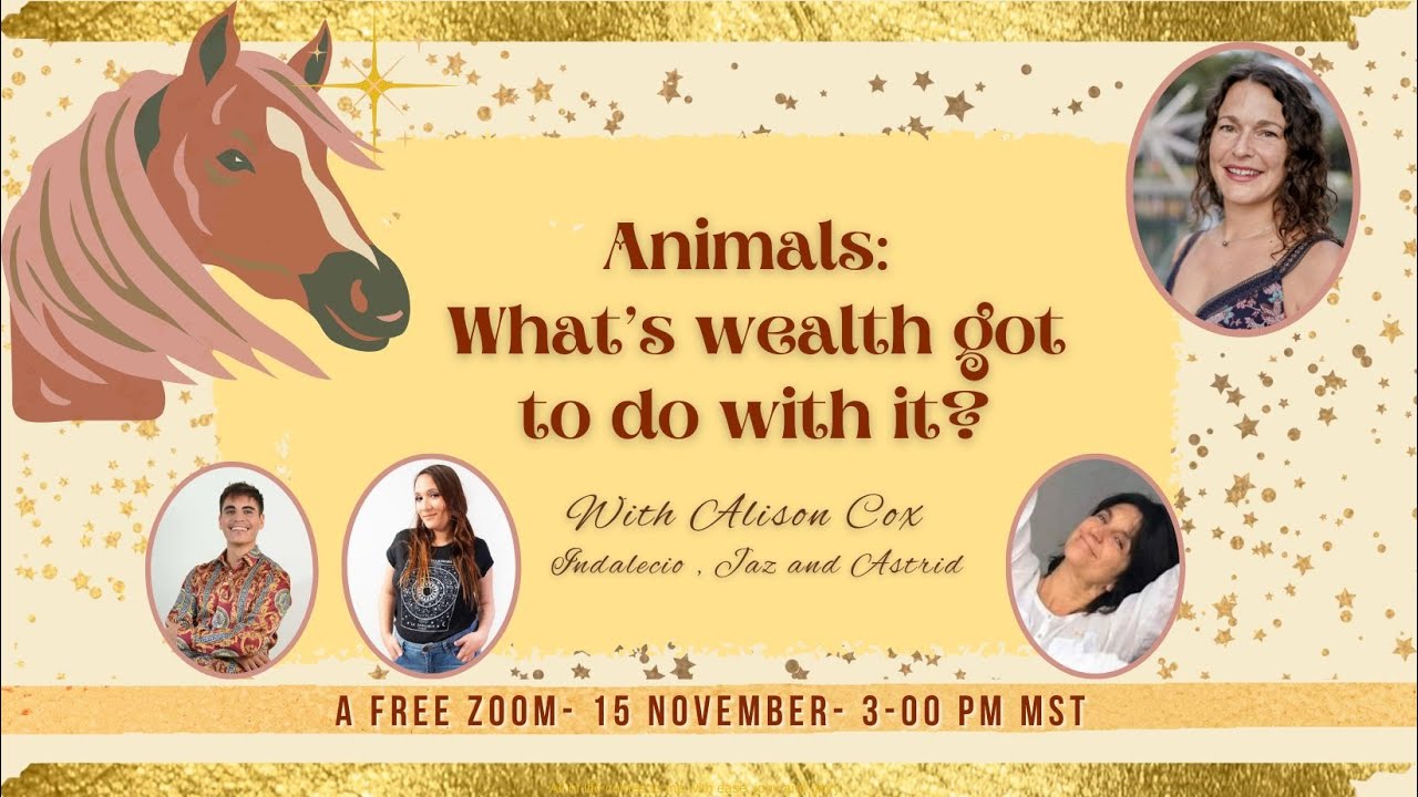 Animals: What’s wealth got to do with it? - YouTube