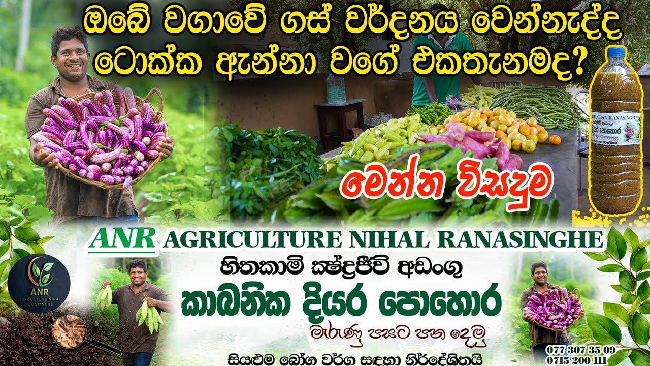 වගාව සරුකරන කාබනික දියර පොහොර Organic Liquid Fertilizers கரிம திரவ ...
