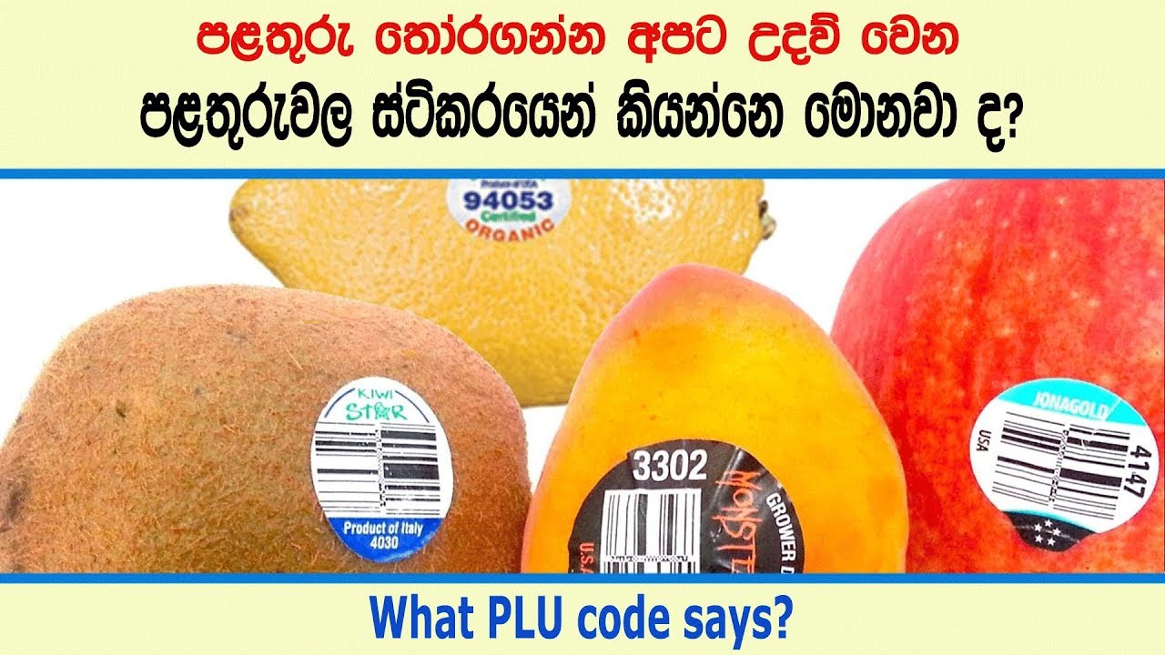 පළතුරුවල ස්ටිකරයෙන් කියන්නෙ මේකයි - What PLU Code says on fruit sticker ...
