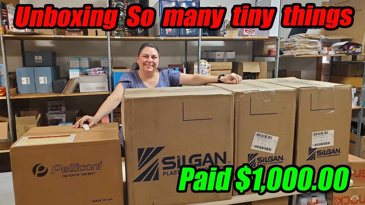 Unboxing a Box Full of Tiny items - paid $1,000 for all of these boxes ...