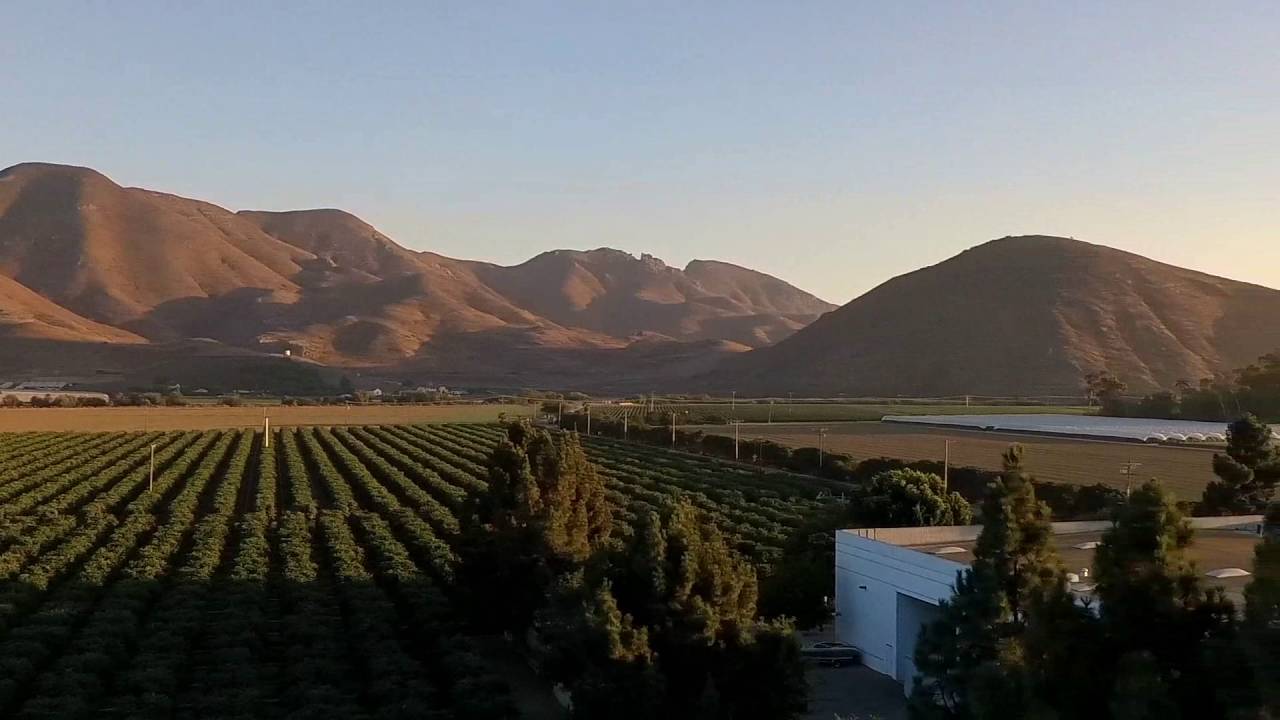 Autel X-Star Premium w. Freewell Graduated Orange Filter - YouTube