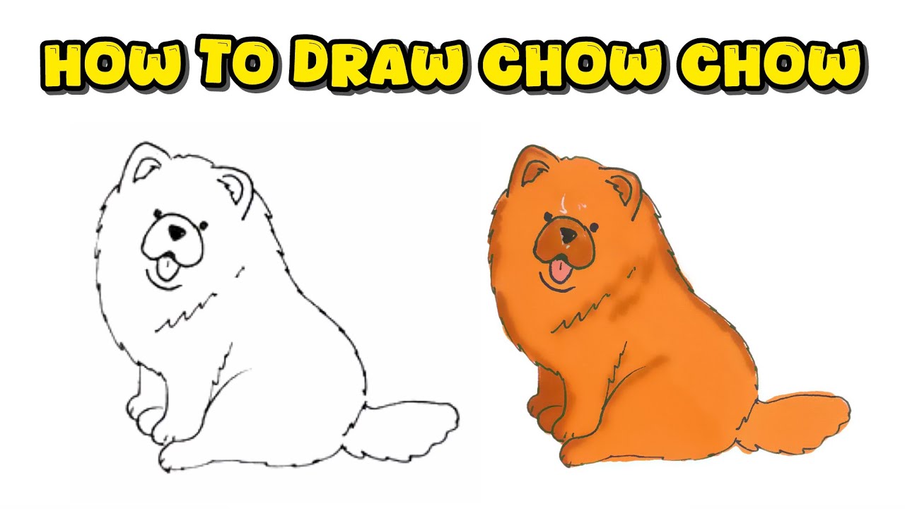 How to Draw a Chow Chow in Minutes – Fluffy Dog Breed Drawing Process ...