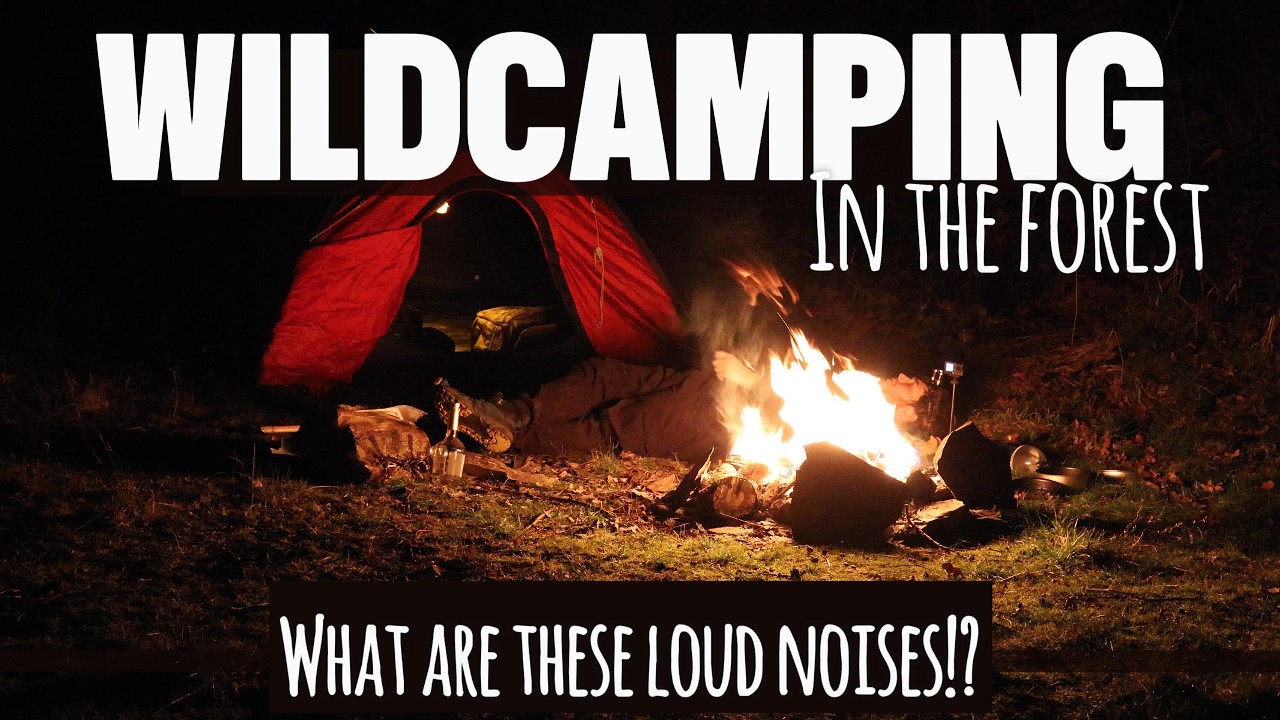 Wild Camping in the Forest - What are Those Loud Noises?! - YouTube