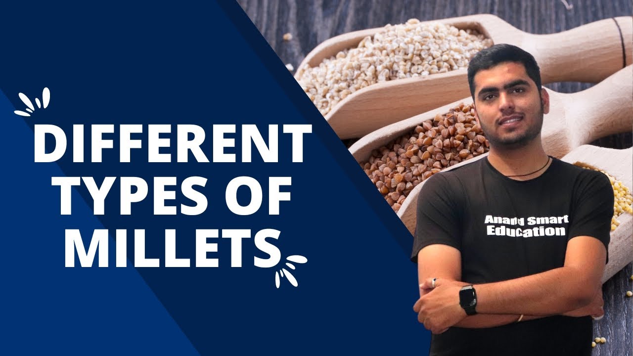 Different types of Millets - YouTube