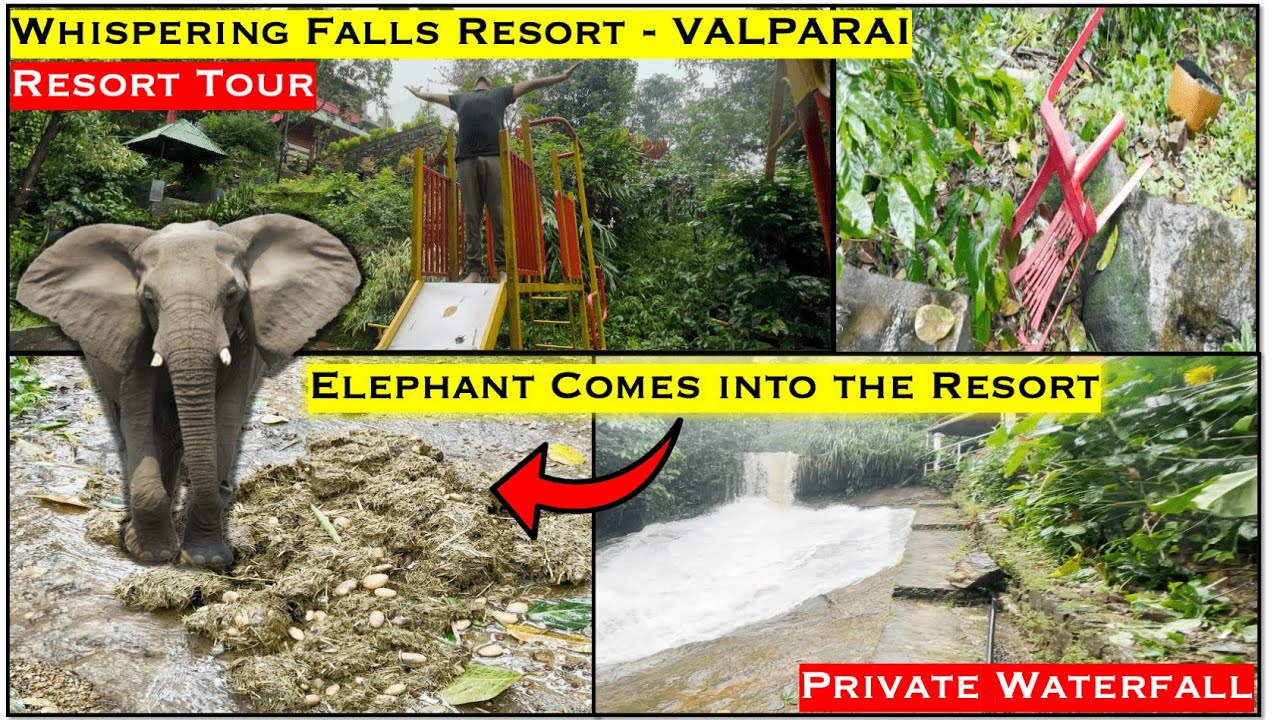 Whispering Falls - VALPARAI | Staying alongside with Elephants ...