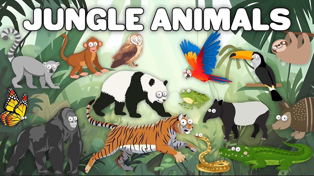 JUNGLE ANIMALS MARCHING | The Jungle Parade | Discover and Learn the ...