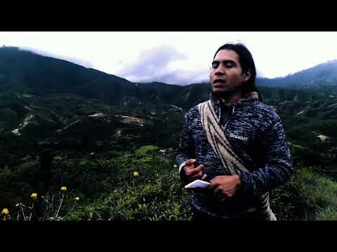 Consejos sobre el cabello vista del indigena - YouTube