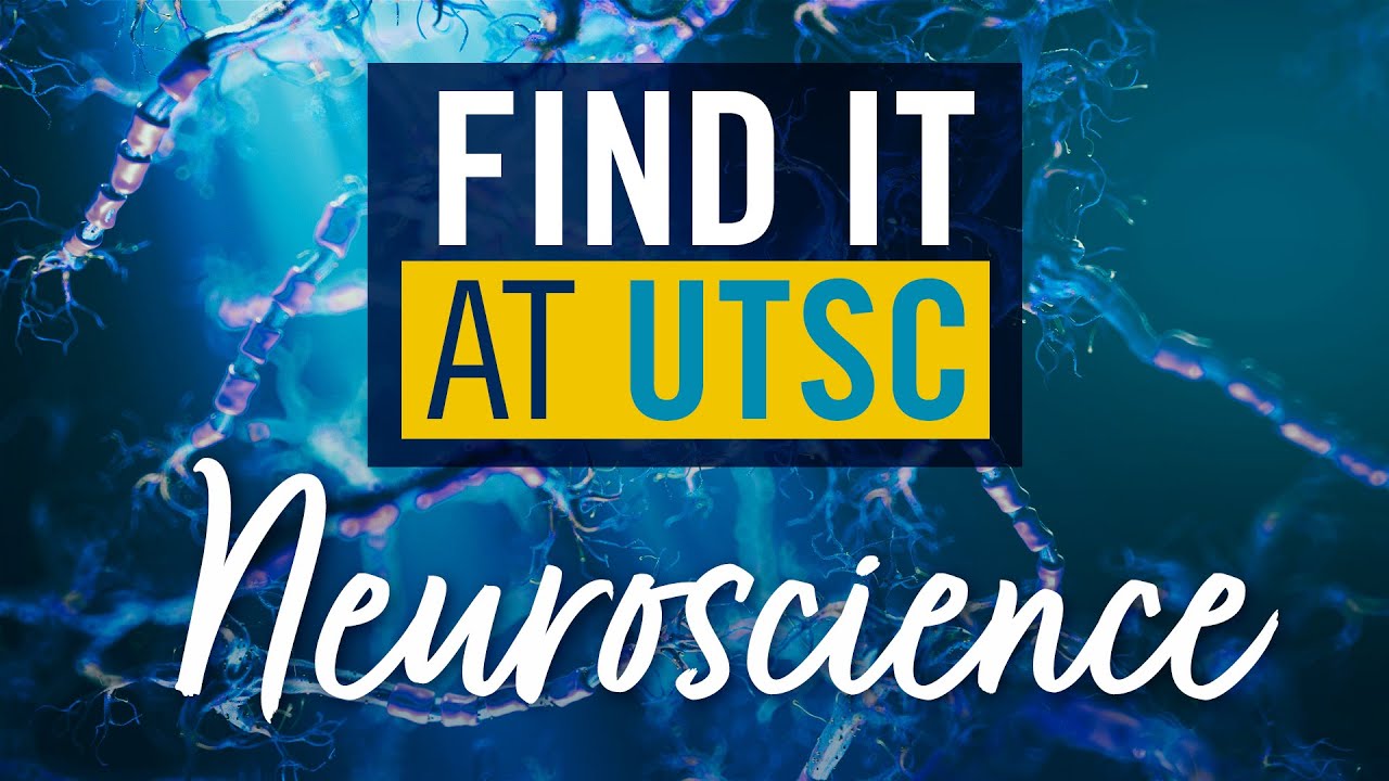 Life Sciences: Neuroscience Co-op | Find it at UTSC! - YouTube