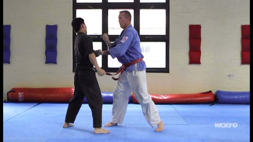 Wing Chun Instructional DVD Preview - Trapping Hands - YouTube
