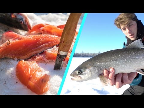 BEST Fish I've Ever Tasted -- Arctic Catch and Cook (On The Ice) - YouTube