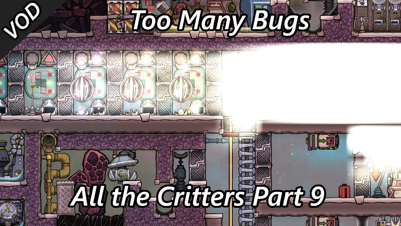 Hot Rooms are Too Hot & Feeding Shine Bugs - All the Critters VOD Part ...
