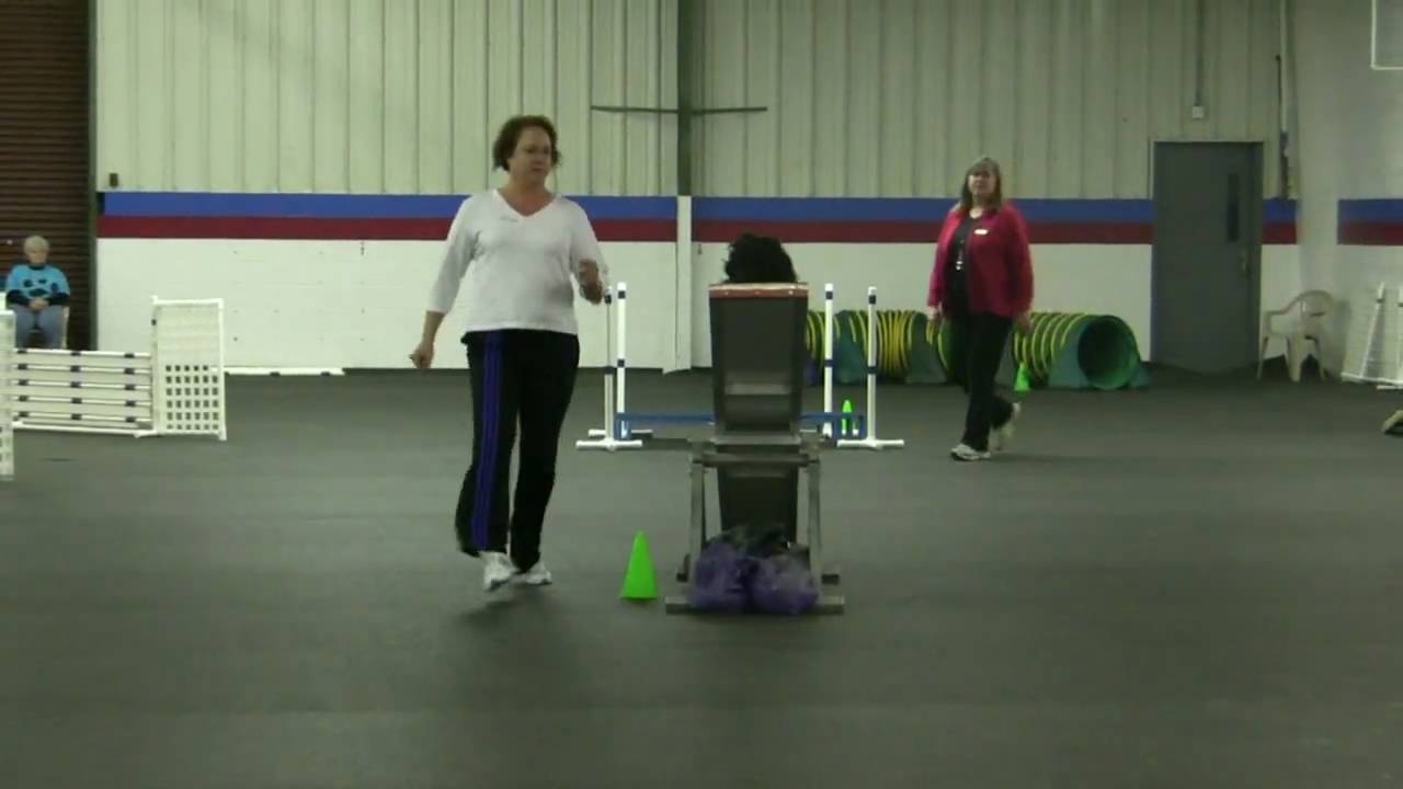 Izzy Hanson Novice Standard Qualifying run - YouTube