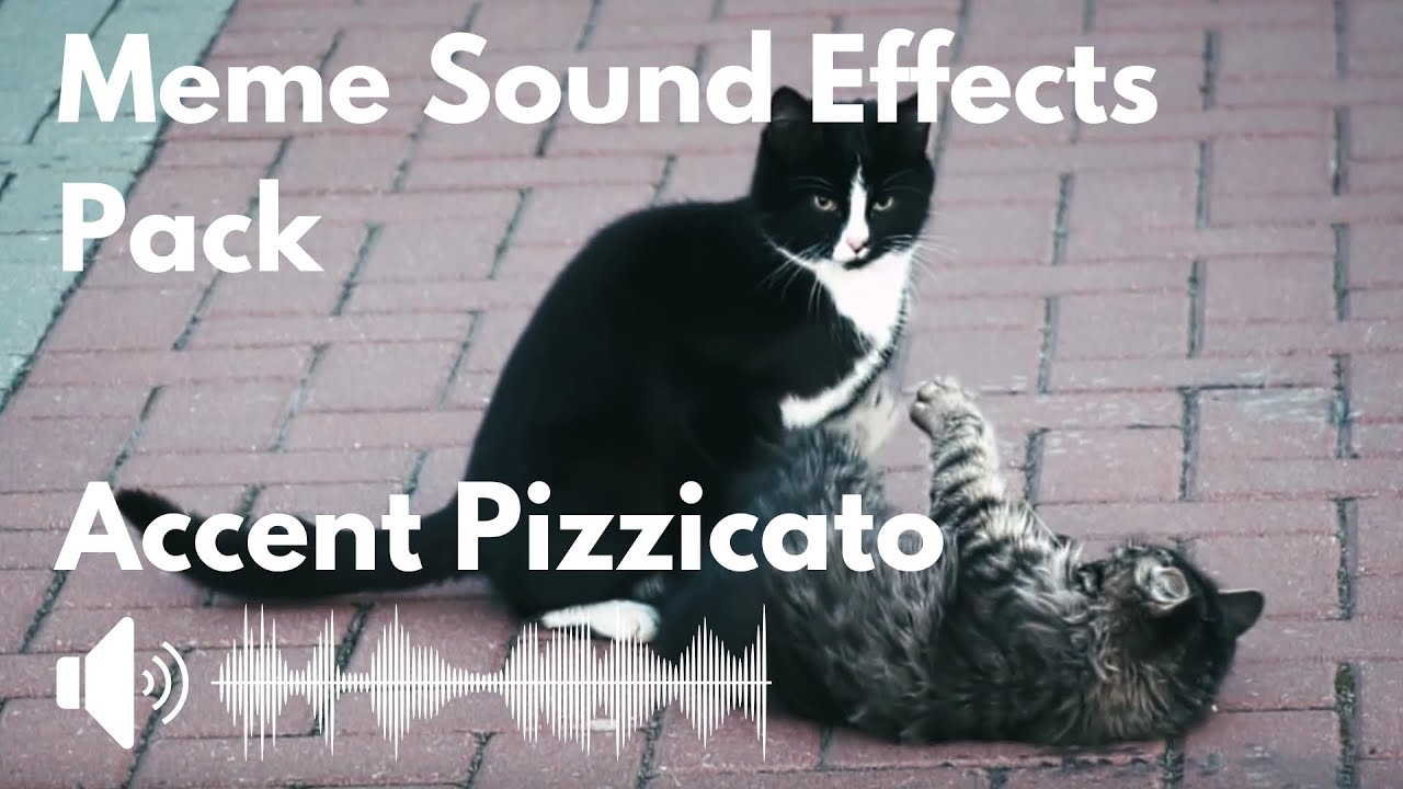 Meme Sound effects pack - Funny Sound effect Accent Pizzicato - YouTube