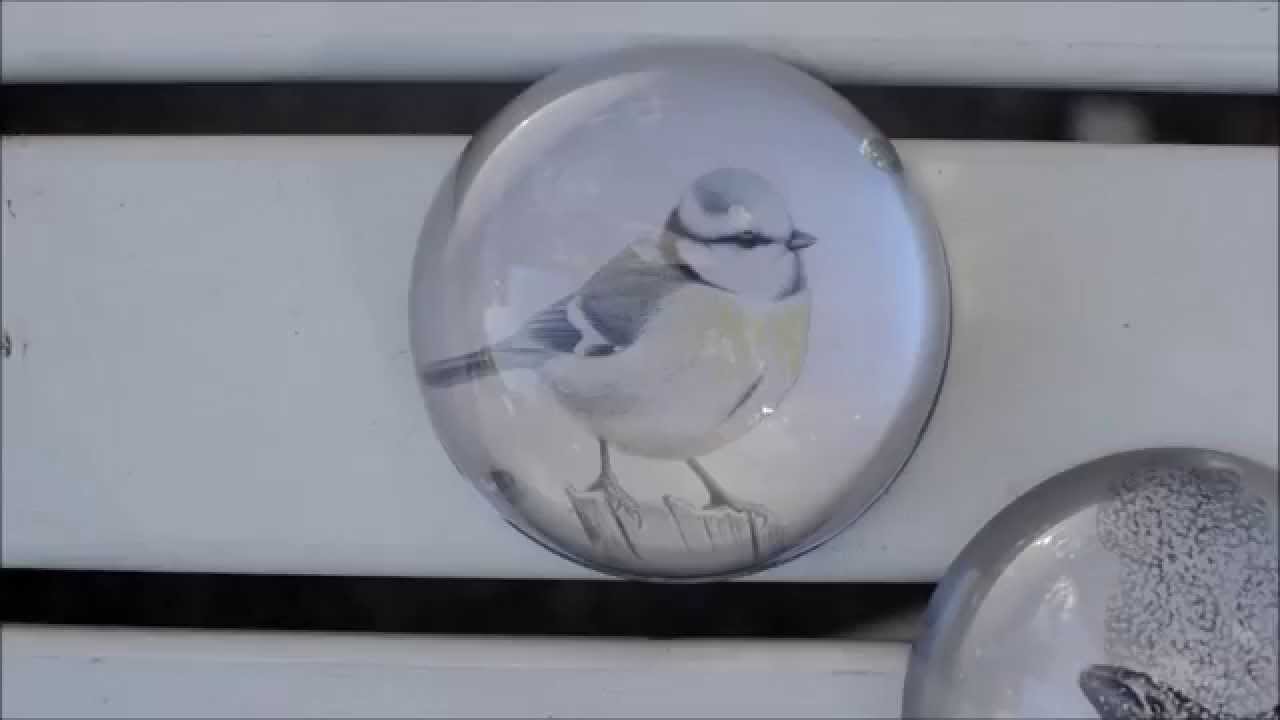 DIY: PERSONALIZED PAPERWEIGHTS - YouTube