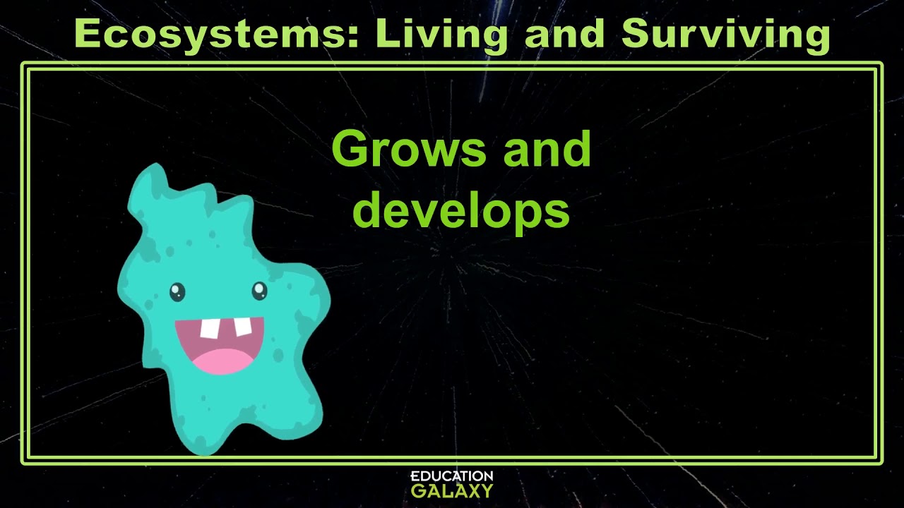 5th Grade - Science - Ecosystems: Living and Surviving - Topic Overview ...