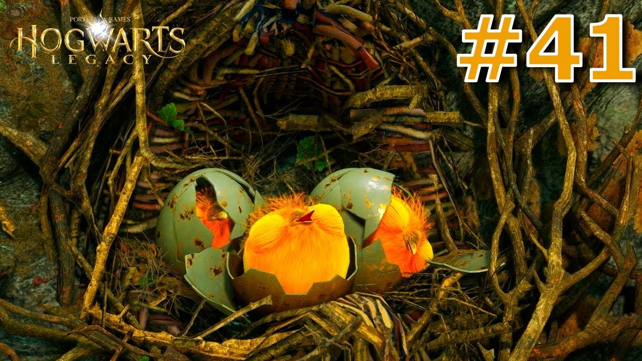 Hogwarts Legacy- Part 41: The Golden Snidget And Natai's Transformation ...