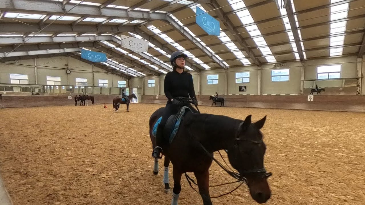 2024년 10월 27일 알바 - YouTube