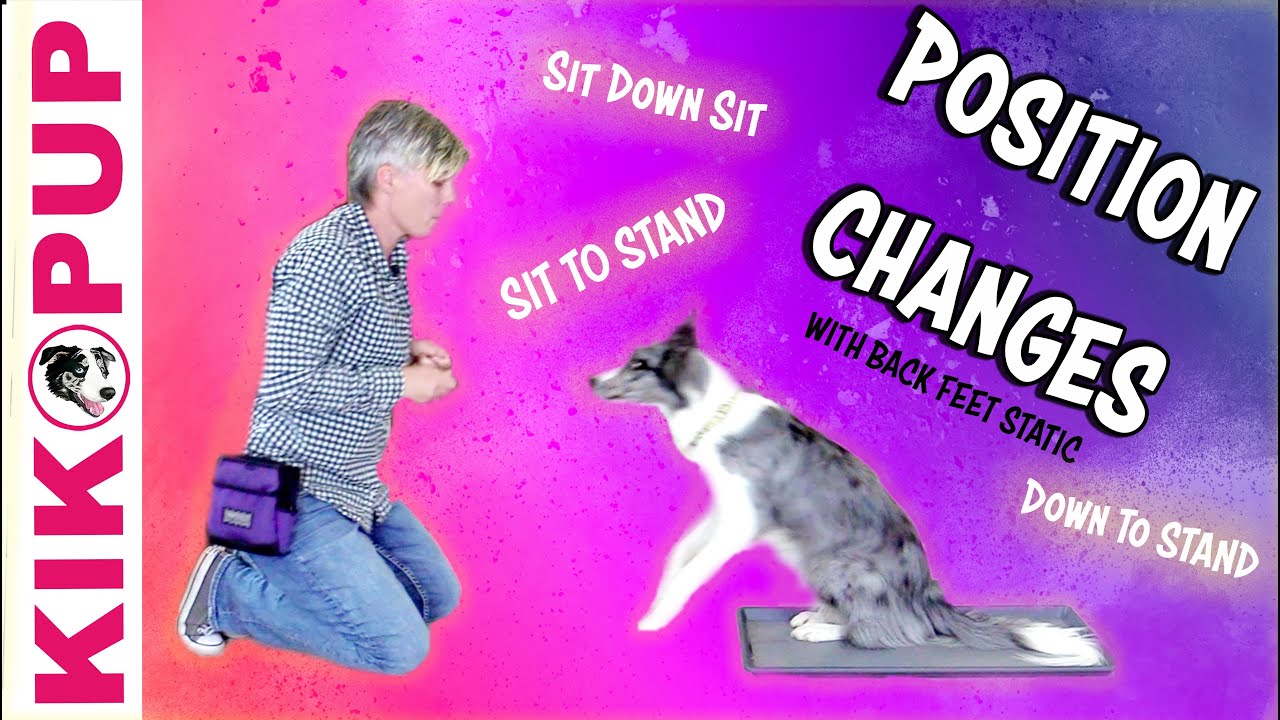 Position Changes Sit Down Stand with Back Feet Static - YouTube