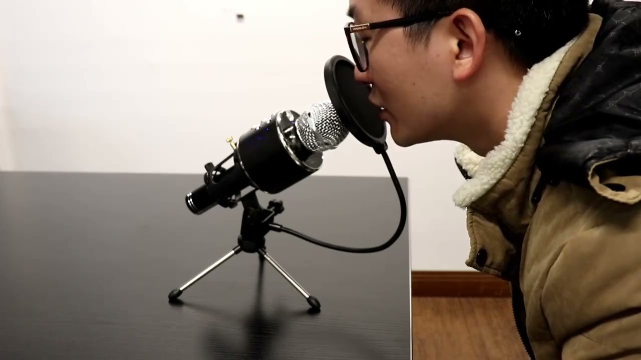 Durable Double Layer Windscreen Studio Microphone Flexible Wind Screen ...