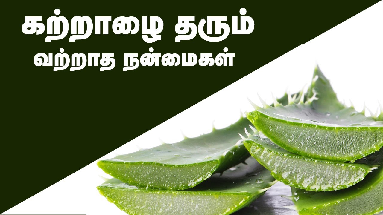 கற்றாழையின் மருத்துவ பயன்கள் II katralai medical benefits II aloe vera ...