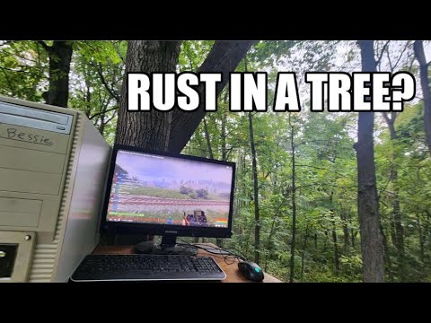 Watching The New Spoonkid2 50ft Up In A Tree... - YouTube