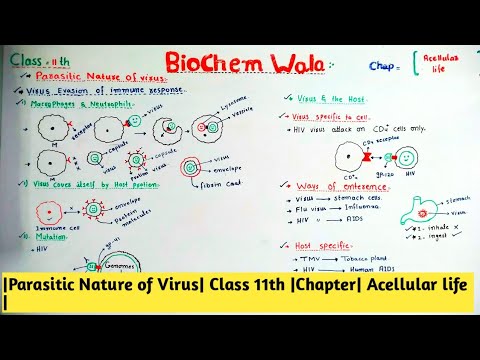 |Parasitic Nature of Virus| Class 11th |Chapter| Acellular life | - YouTube