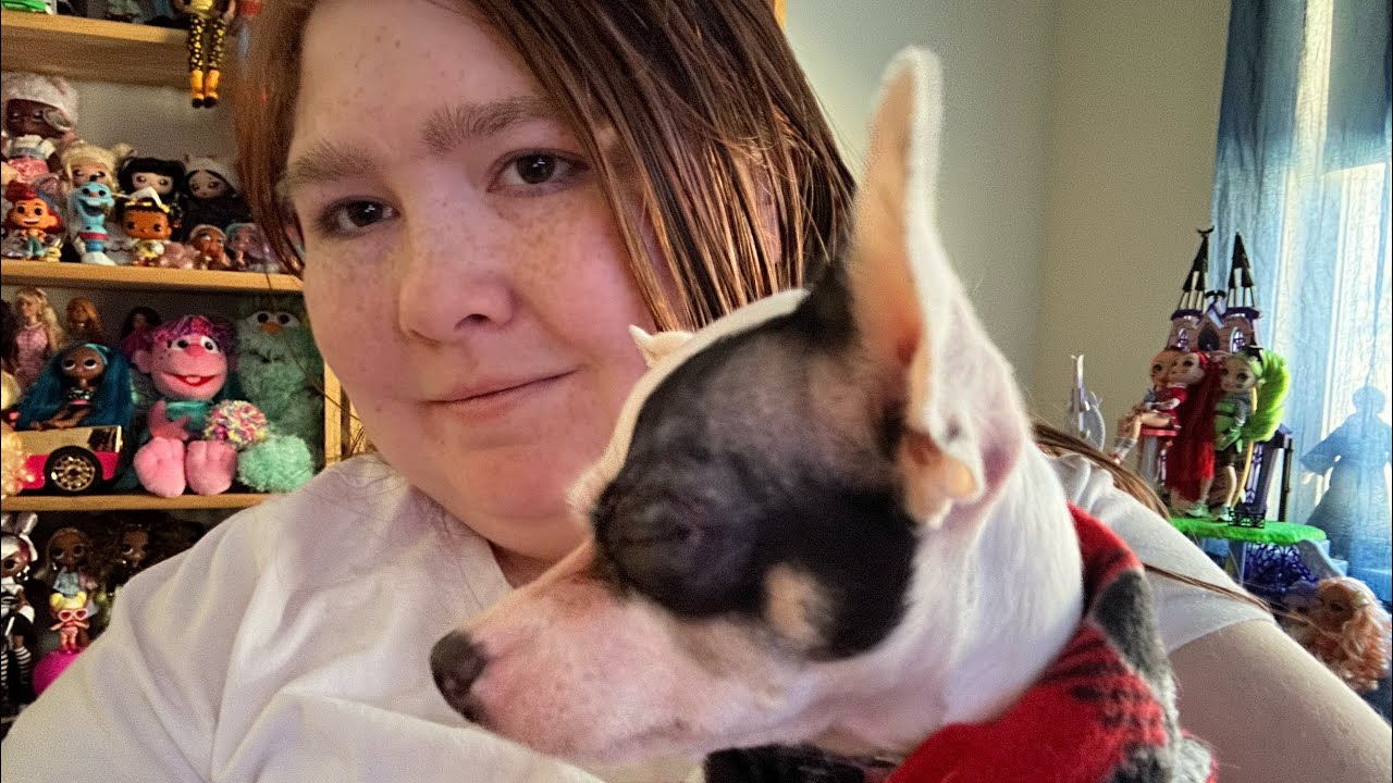 Fun Fact Friday - Learning About The Jack Chi - One Of My Favorite ...