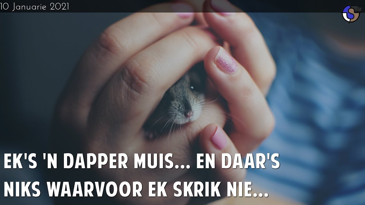 Ek's 'n dapper muis... en daar's niks waarvoor ek skrik nie - YouTube