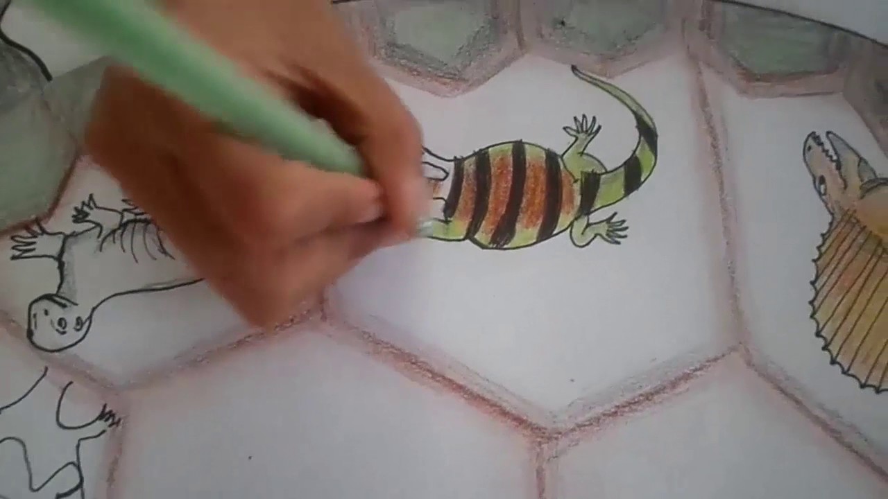 La evolución de la tortuga - YouTube