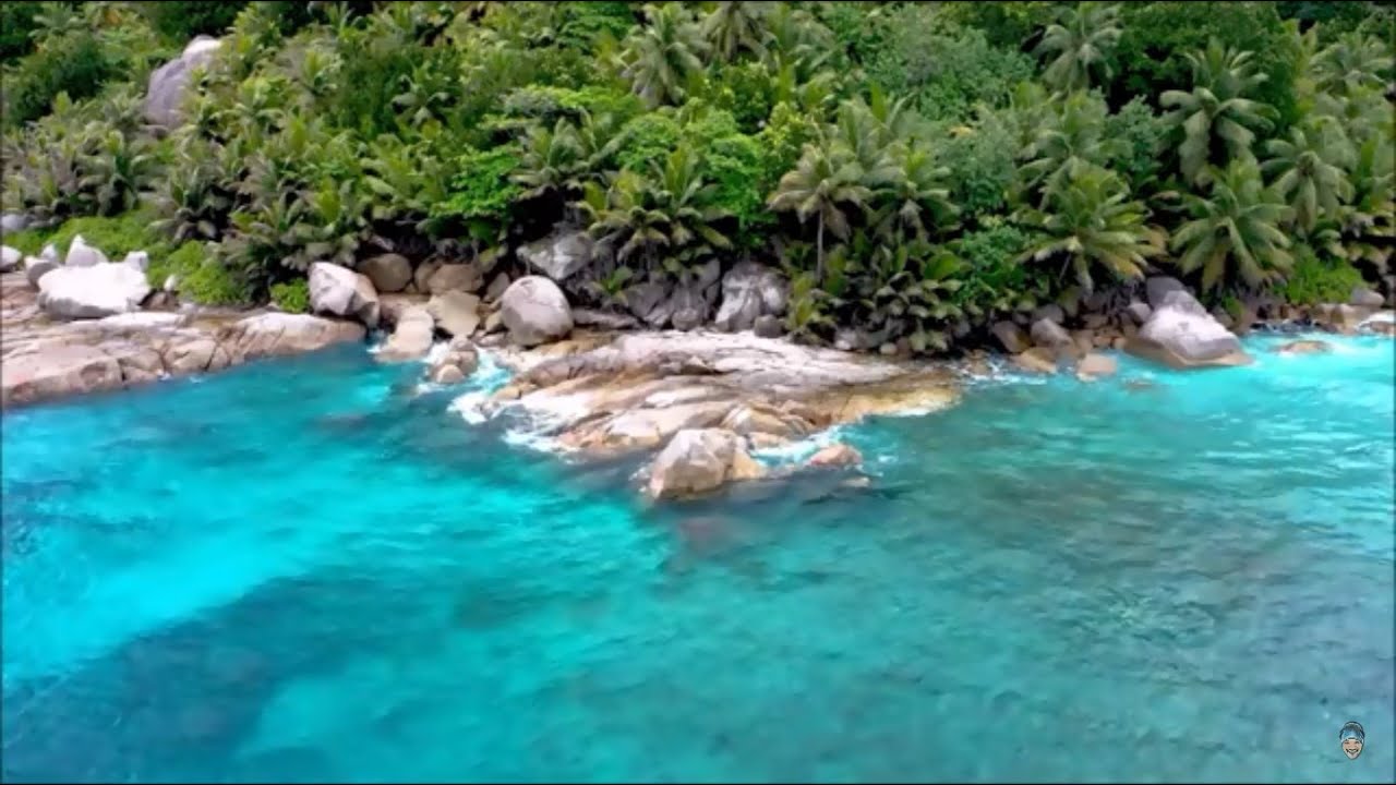 🎧 🎧 Relaxing Sleep Music : Calming Sea Ocean Wave for Deep Sleep ...