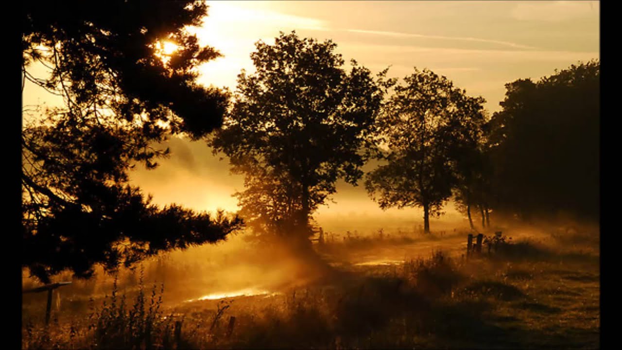 WHITE PLAINS ( I REMEMBER) SUMMER MORNING - YouTube