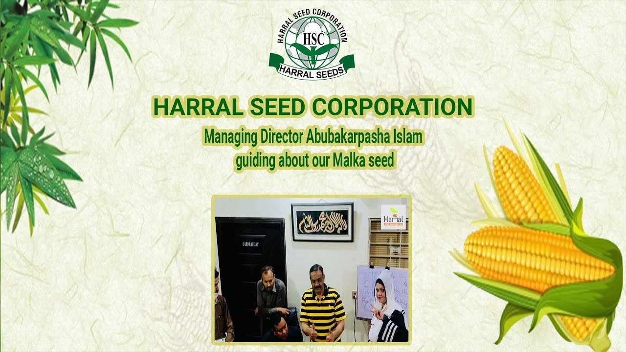 Managing Director Abubakarpasha Islam guiding about our Malka seed ...