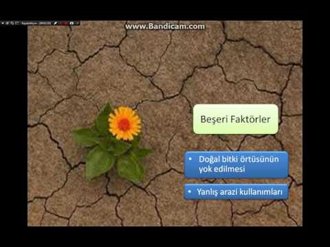 HAZIR SLAYT - Doğal Afetler