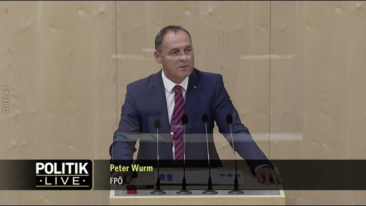Peter Wurm - Neue Gesamtstrategie für COVID 19 Testungen - 29.5.2020 ...