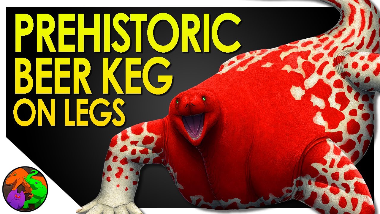 Beer Keg On Legs | Cotylorhynchus - YouTube