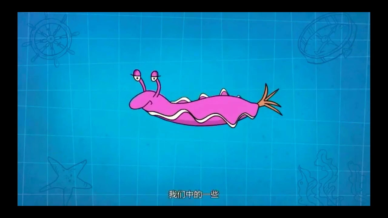 Evolution Of The Sea Slug - YouTube