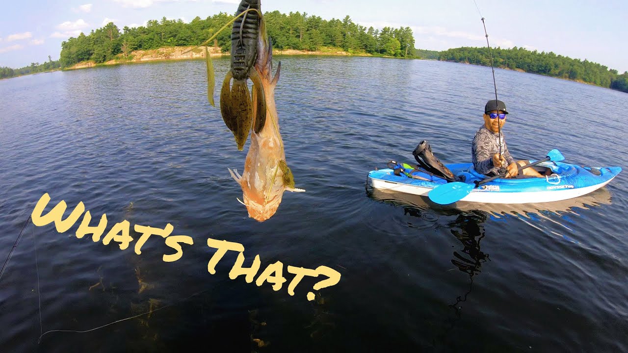 Friendly Fishing Competition with friends and Alex pulls out THIS ...