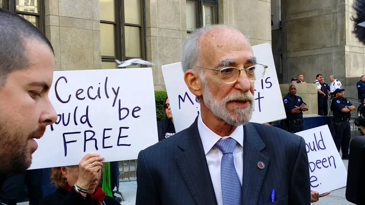 Cecily McMillan's Attorney Martin Stolar Making Statement To Media ...