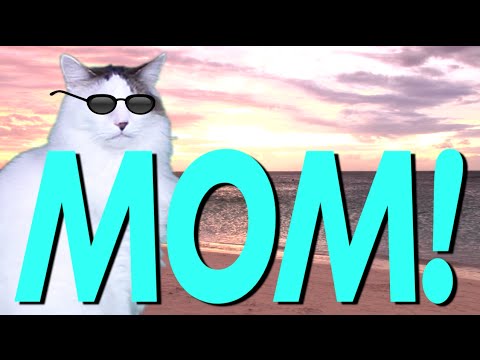 HAPPY BIRTHDAY MOM! - EPIC CAT Happy Birthday Song