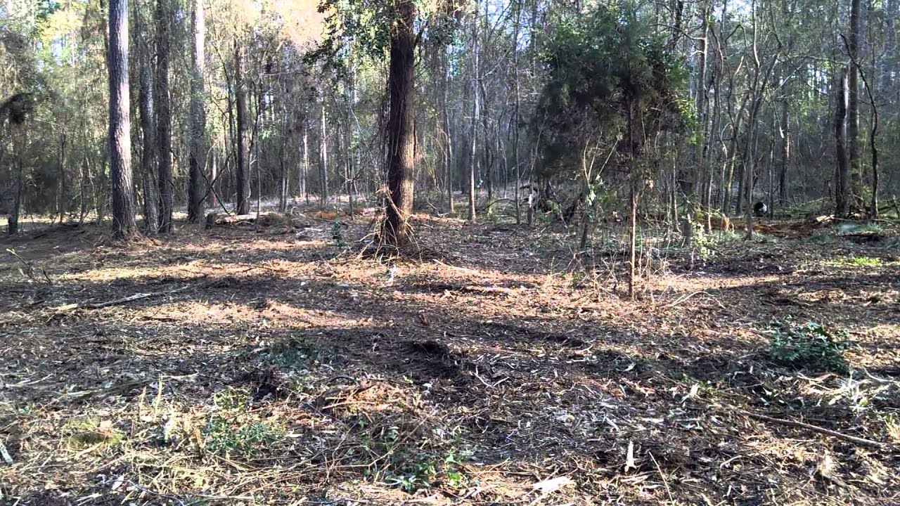 Forestry mulching in North Louisiana by Land Beautification LLC. - YouTube
