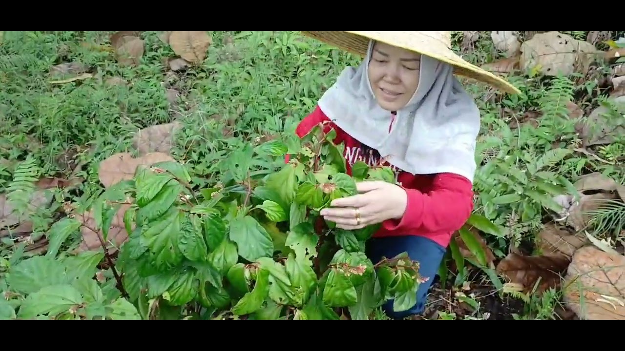 Mummy G'nes garden tour. - YouTube