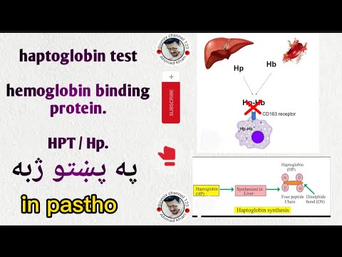 Haptoglobin test/ hemoglobin binding protein/ HPT test/ Hp test ...