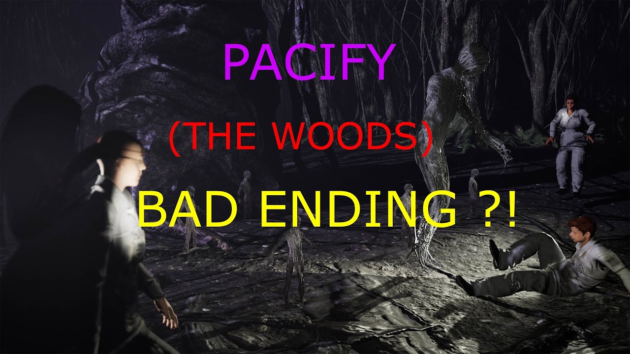 Pacify New Map (The Woods) Secret Ending - YouTube