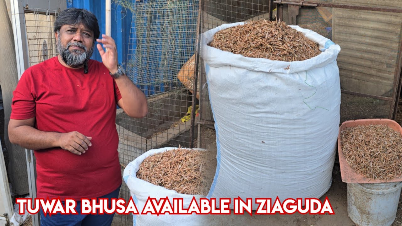 Tuwar Bhusa Available in Ziaguda | Zakir Bhai Shared Bakrid Experience ...