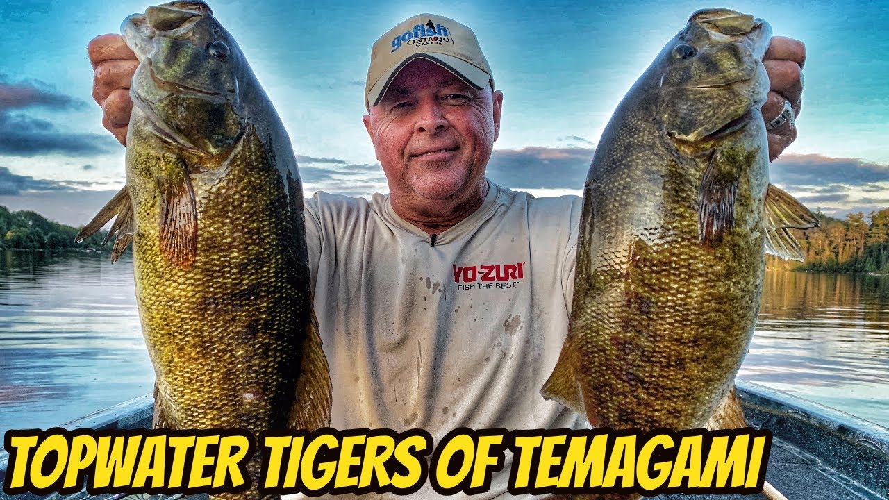 TOPWATER TIGERS OF TEMAGAMI- Full length episode! - YouTube