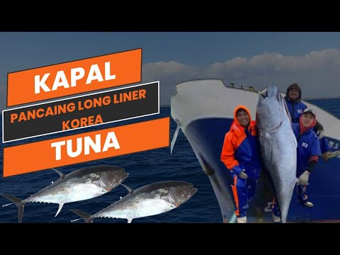 PERJALANAN KAPAL PANCING IKAN TUNA LONG LINER OPERASI DAERAH DINGIN ‼ ...