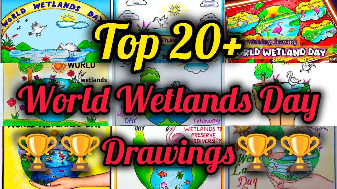 Top 20+ World Wetlands Day Drawing Ideas/World Wetlands Day Poster ...