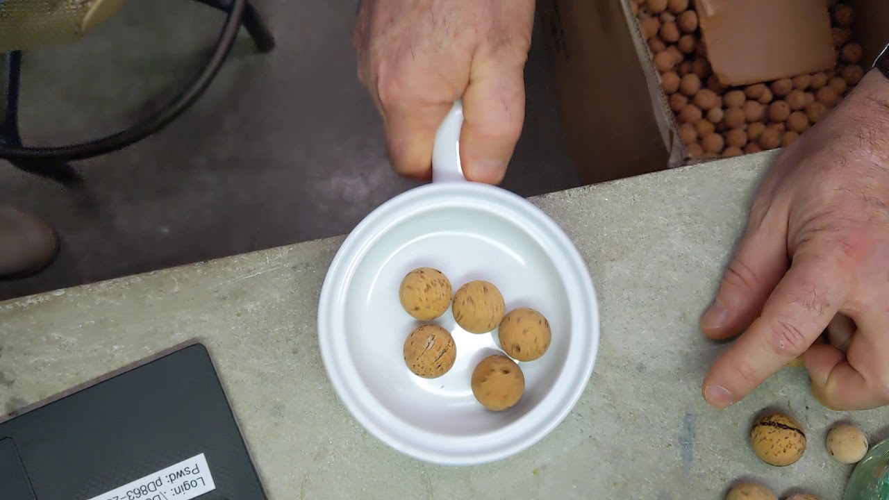 Brown University Physics Demonstration - YouTube